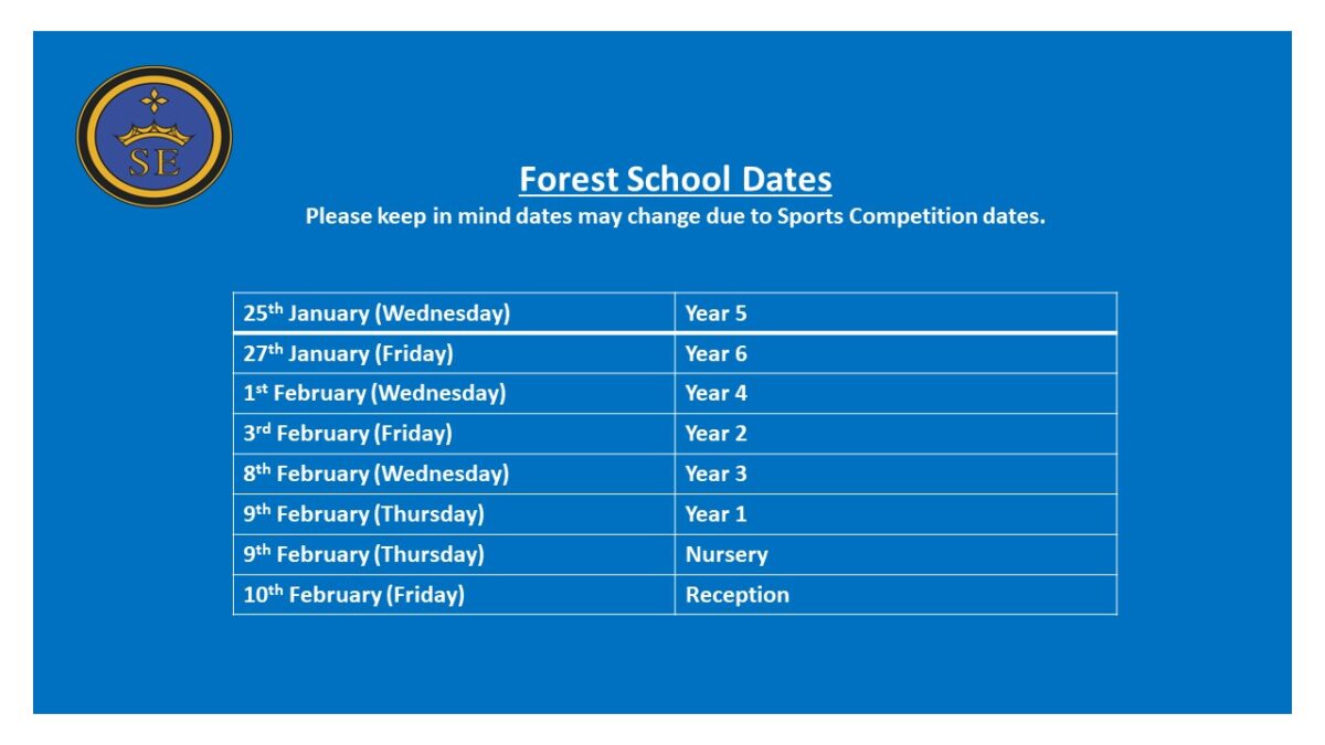 Forest School - St Elizabeth's Primary School
