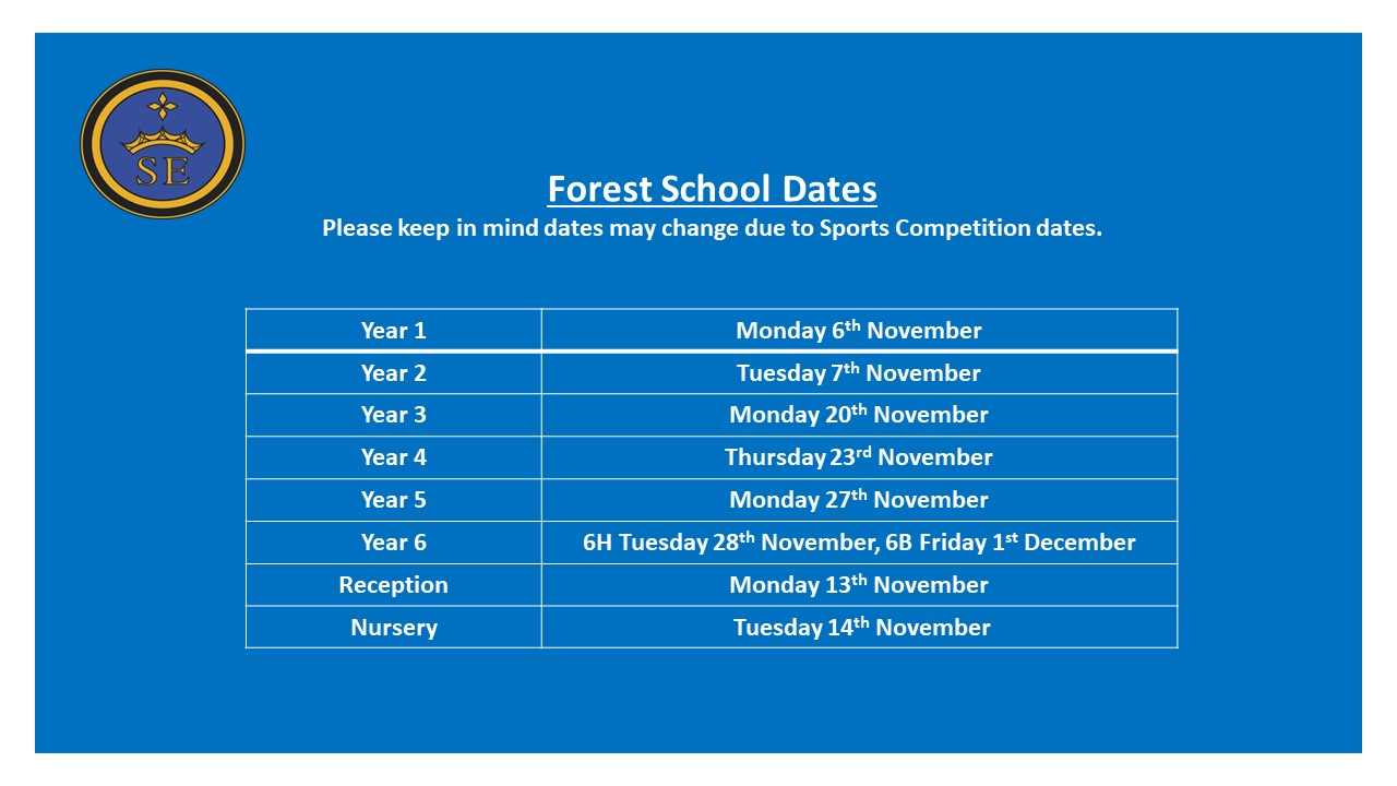 Forest School - St Elizabeth's Primary School